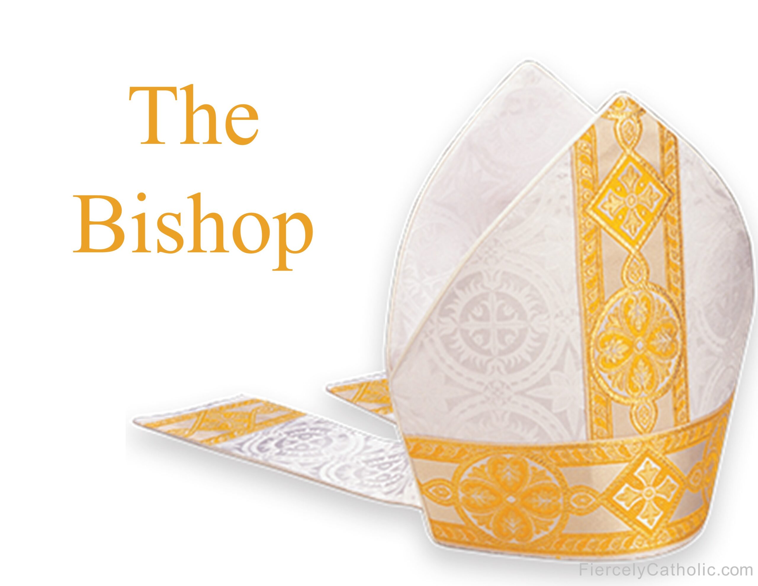 Catholic Bishops - Fiercely Catholic
