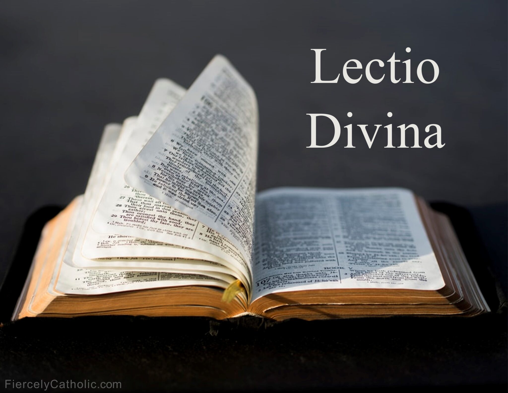 Lectio Divina – Fiercely Catholic