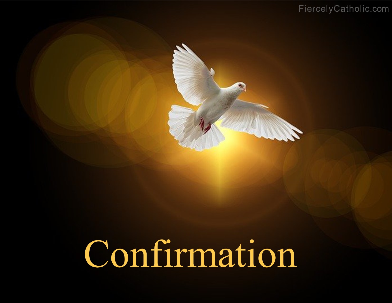 Confirmation - Fiercely Catholic