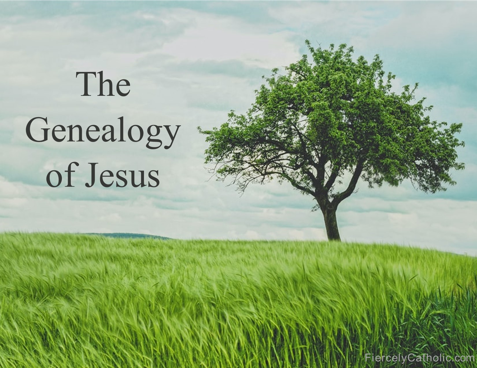 The Genealogy of Jesus – Fiercely Catholic