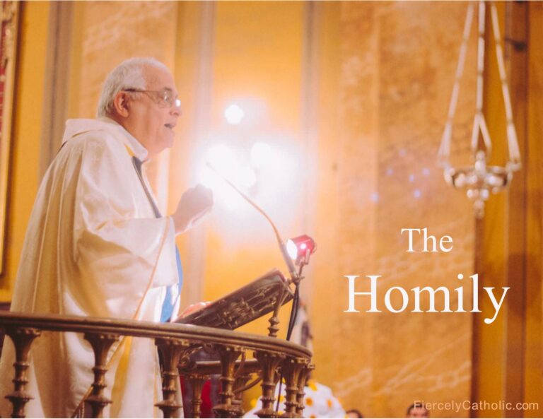 The Homily at Mass – Fiercely Catholic