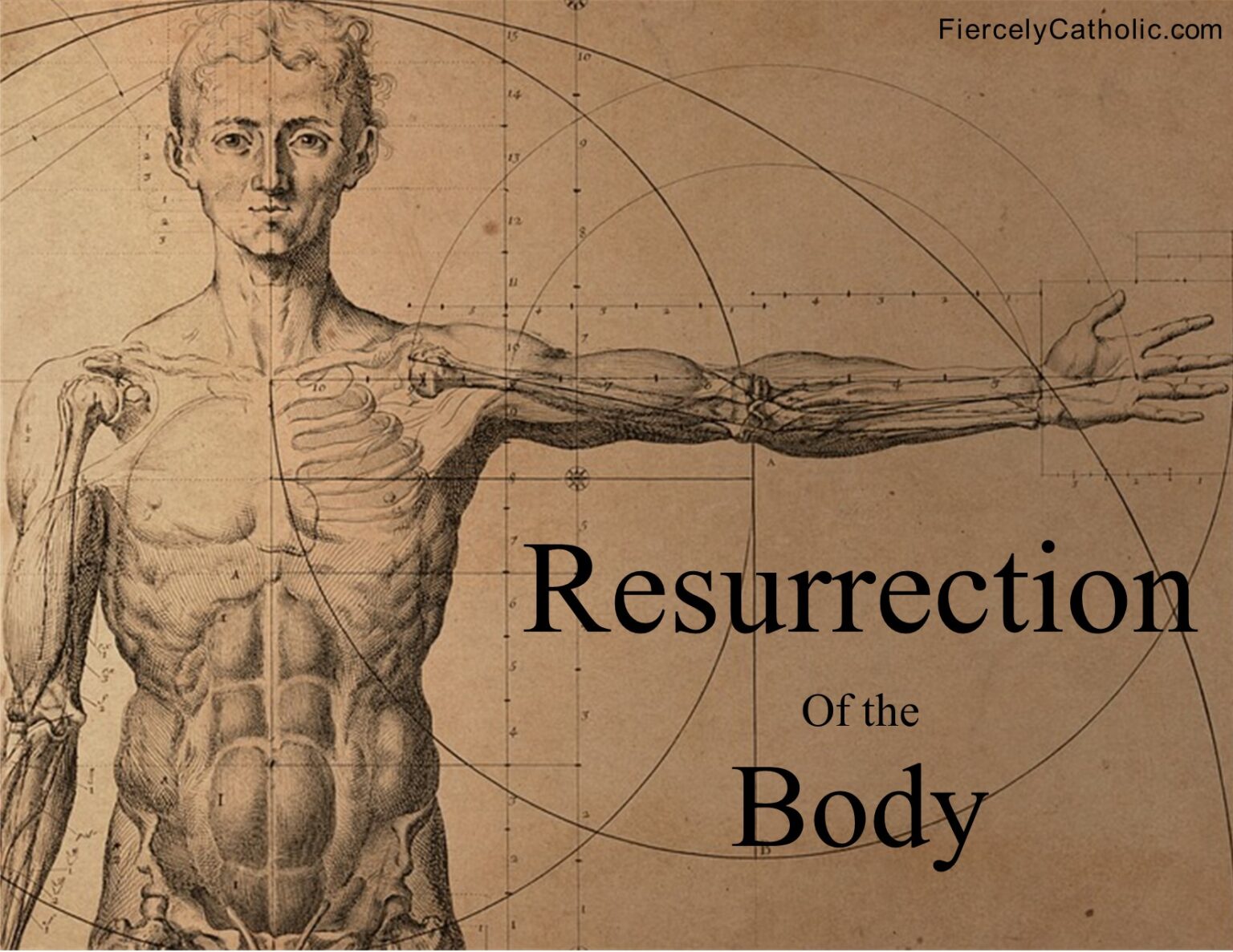 The Resurrection of the Body – Fiercely Catholic