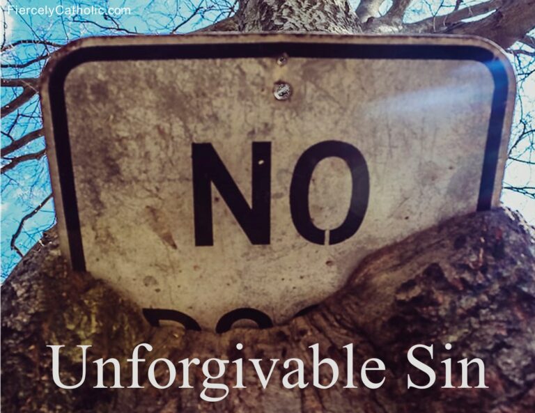 The Unforgivable Sin – Fiercely Catholic