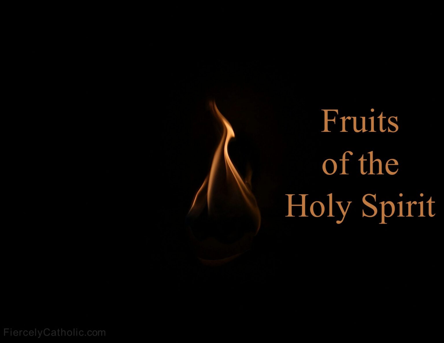 Fruits Of The Holy Spirit Fiercely Catholic